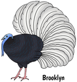 Bulwer's Pheasant Bird Cartoon Illustration Stickers