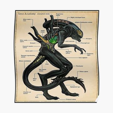 Xenomorph Anatomy - Fan Art Gifts Premium Matte Vertical Poster
