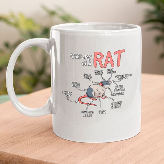 Anime Rat Mugs Anatomy Of A Rat