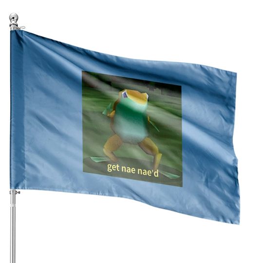 Get Nae Nae'd Dancing Frog Meme House Flag