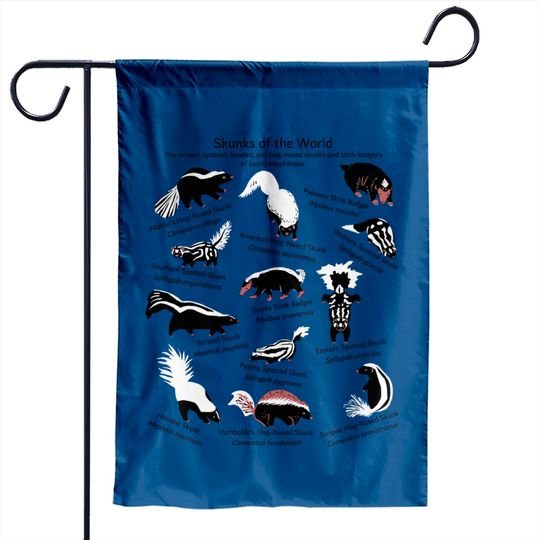 Skunks Of The World: Species Of Mephitidae - Skunk - Garden Flags