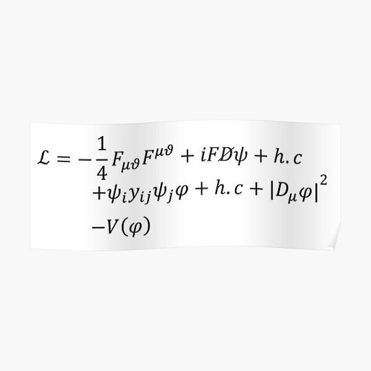 Standard Model Of Particle Physics Lagrangian, Lagrangian Of The Universe Premium Matte Vertical ...