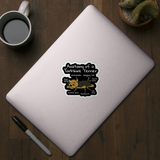 Anatomy Of A Yorkshire Terrier - Yorkshire Terrier - Sticker