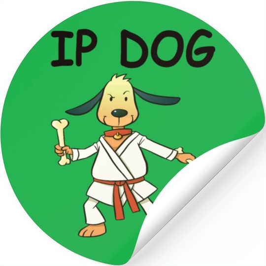 Ip Dog Ip Man Wing Chun Kung Fu
