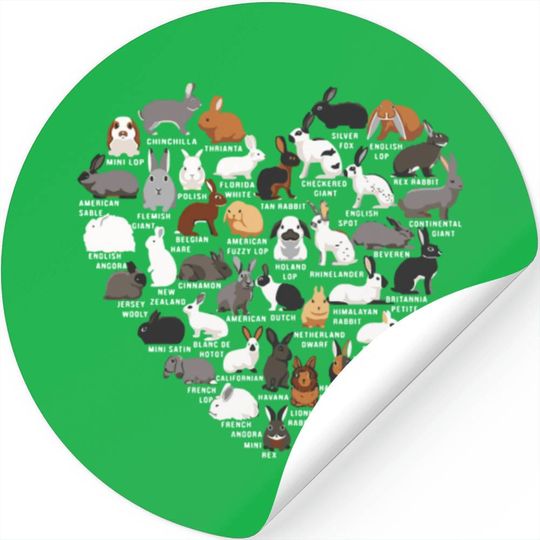 Types Of Rabbit Identification Rabbit