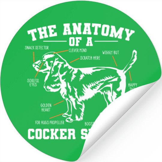 THE ANATOMY OF A COCKER SPANIEL