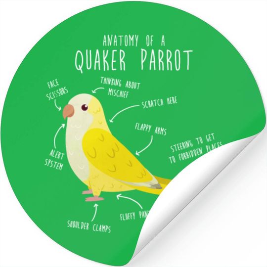 Anatomy Of A Lutino Quaker Parrot