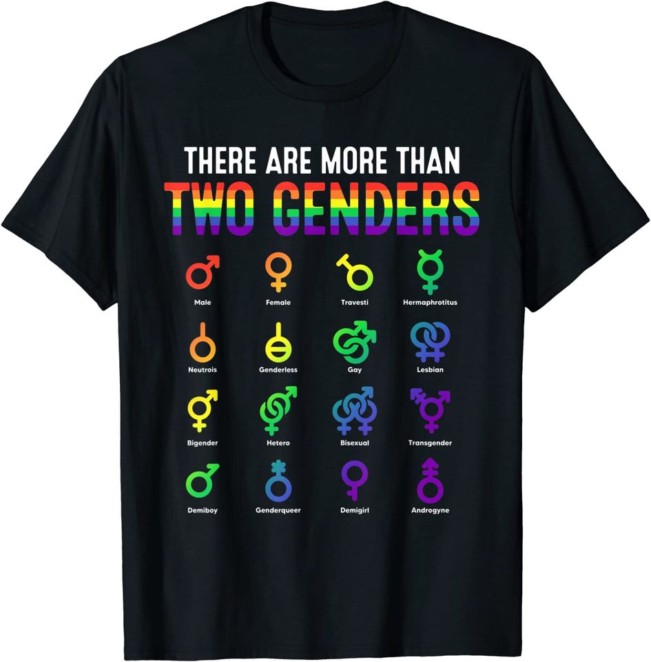 LGBT Gender Chart Funny There Are More Than Two Genders T-Shirt ...
